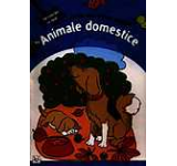 Despre viata in 10 citate motivationale