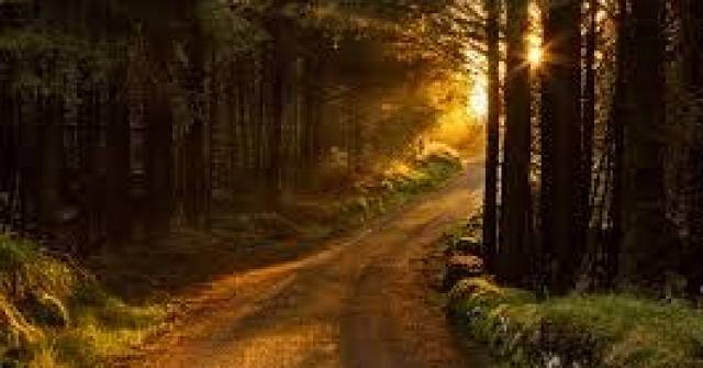 La rasarit de soare: 33 de poze minunate