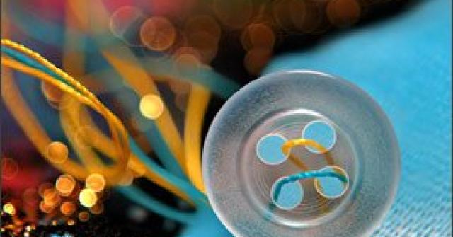 27 de poze macro impresionante