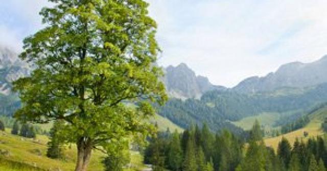 Locul unde se inveleste ciocolata in staniol